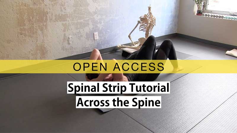 Spinal Strip Tutorial: across spine - Nordic Ski Lab
