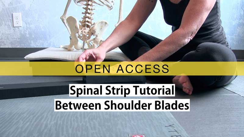 Spinal Strip Tutorial: between shoulder blades - Nordic Ski Lab