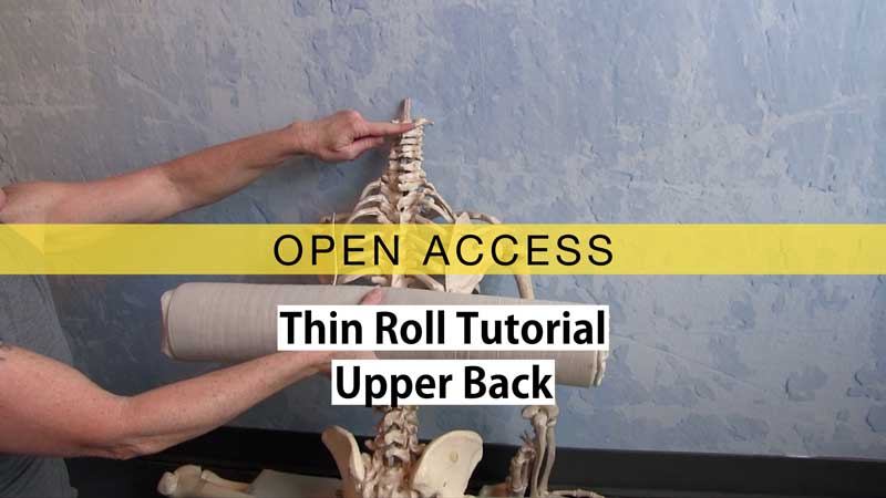 Thin Roll Tutorial - upper back - Nordic Ski Lab