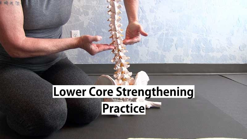 Lower Core Strengthening 23 min - Nordic Ski Lab