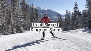 Learn to Skate Ski Program Navigator – Nordic Ski Lab